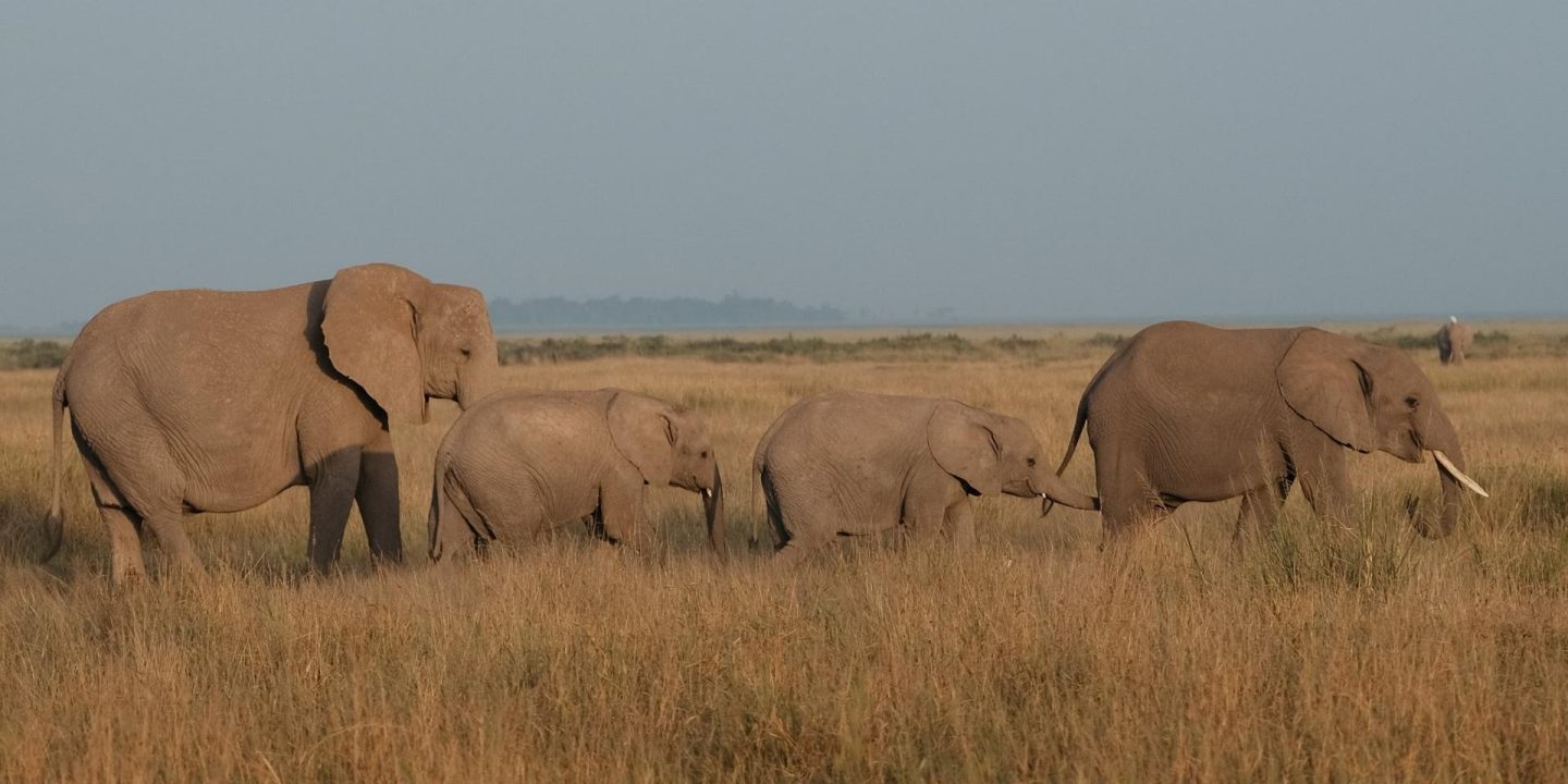 Flight to Baltimore (BWI) | Brussels Airlines